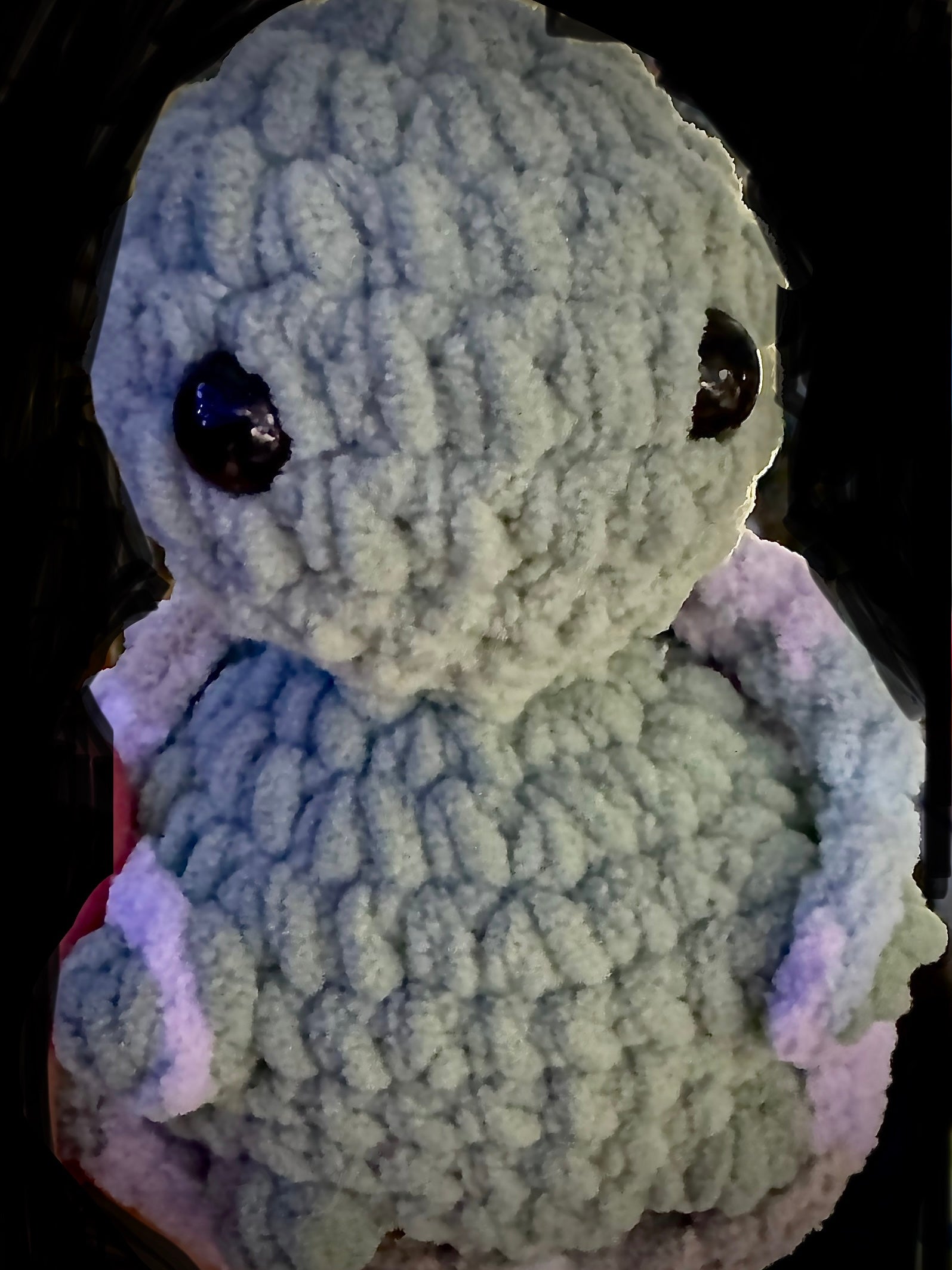 Cheeky Turtle – Hotdog Crochet